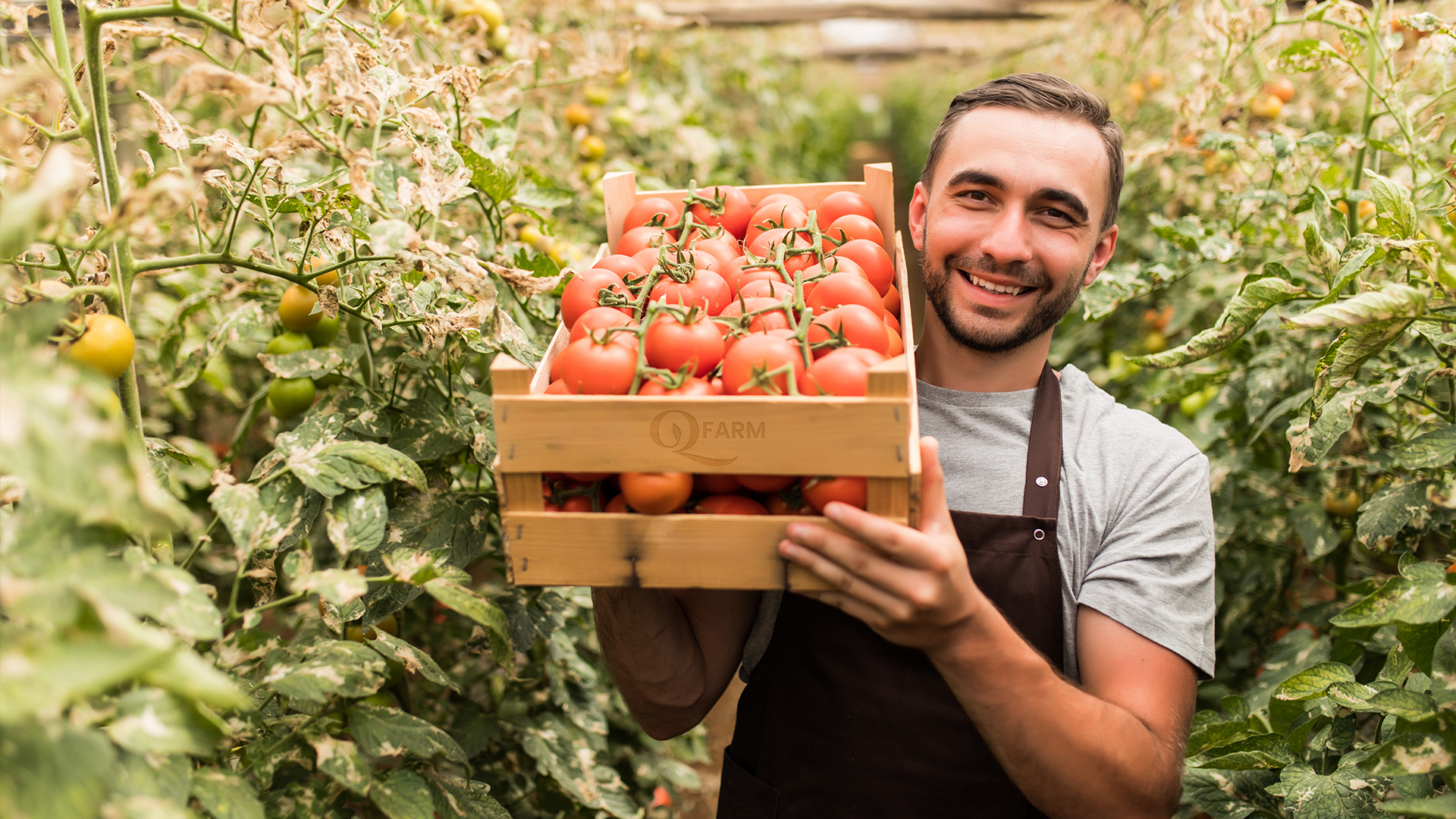 Ürünlerimiz – QFARM